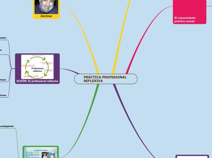 PRÁCTICA PROFESIONAL REFLEXIVA - Mind Map